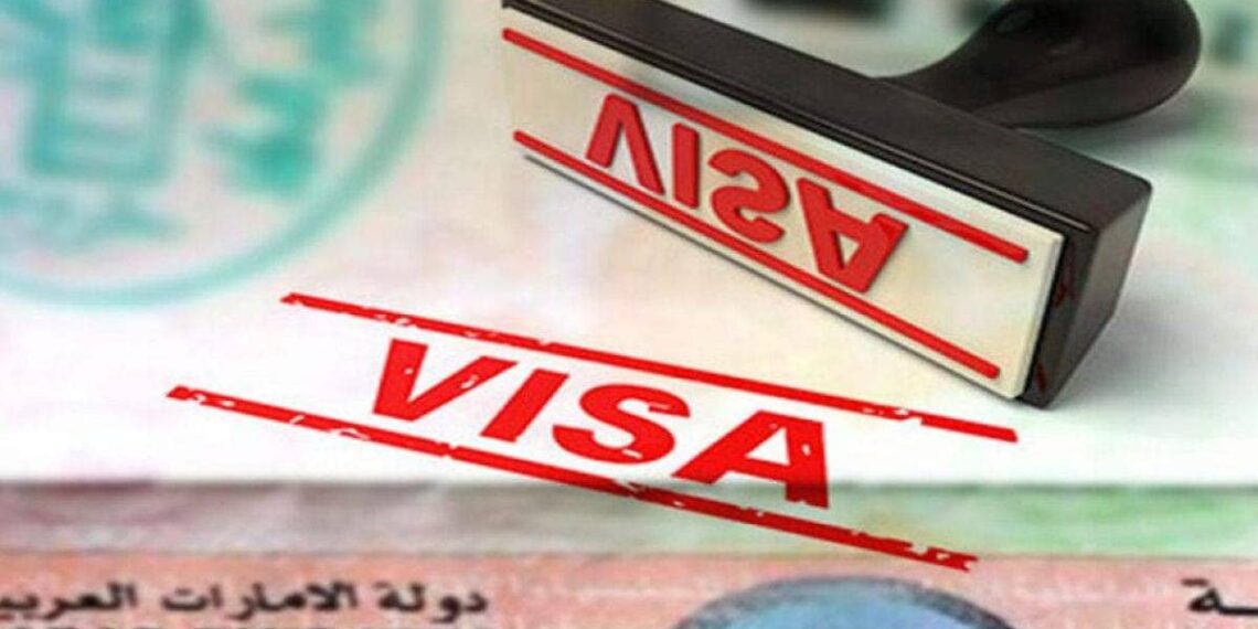 Checking the validity, issuance, and expiration dates of UAE visas ...