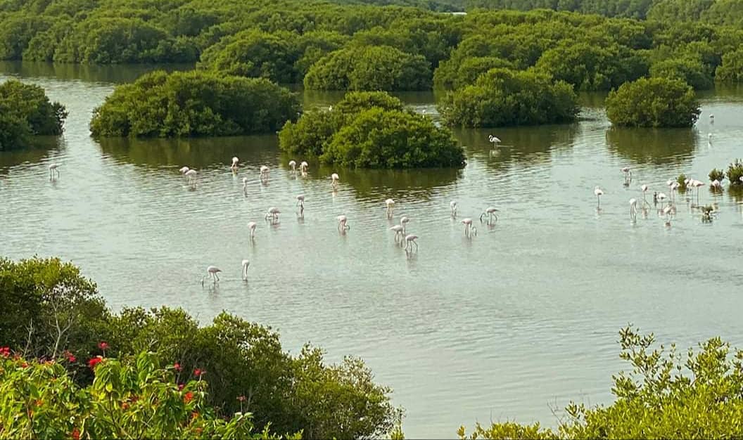 Top Places to visit in Ajman - PropertyNews.ae